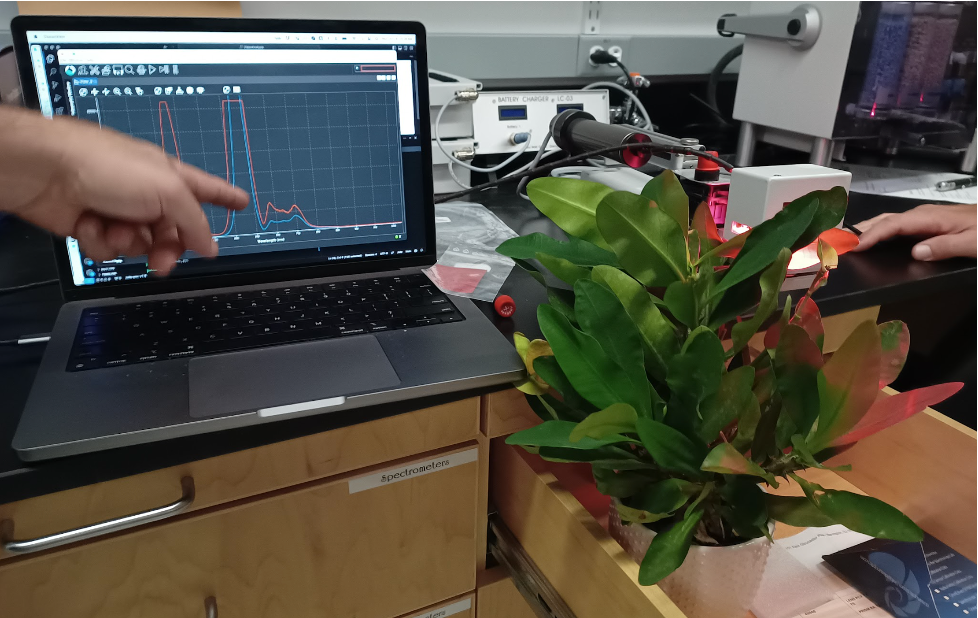 LeafSpectroscopy.jl - Introduction